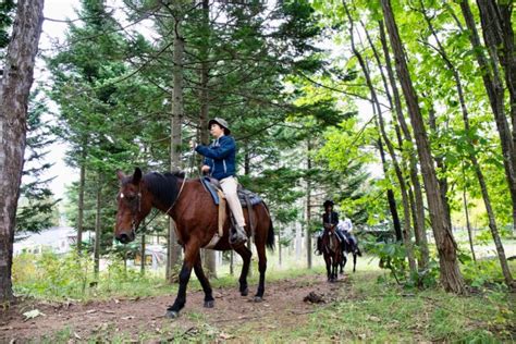 北海道旭川「クラークホースガーデン」で人生初の乗馬体験をした話【pr】 元気です北海道 東京散歩ぽ