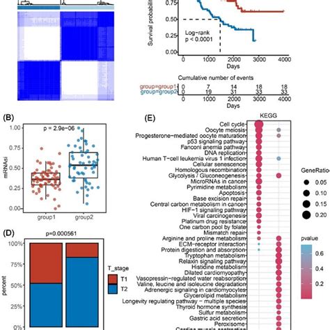 validation of molecular subtypes in luad external datasets a consensus