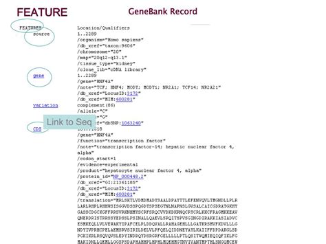 Ppt Bioinformatics For Genomic And Proteomic Data Analysis Powerpoint Presentation Id 5968020