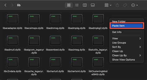 Spss Issues On Macos Sonoma Server Login Local Computer Csp It