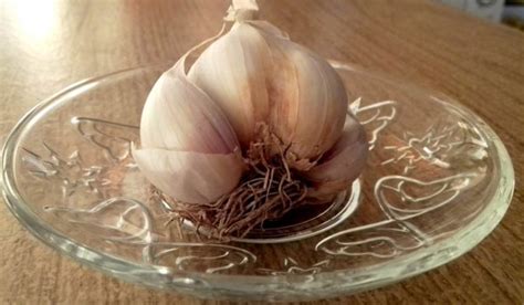 Лек за премахване на кокоши трън Моята Рецепта