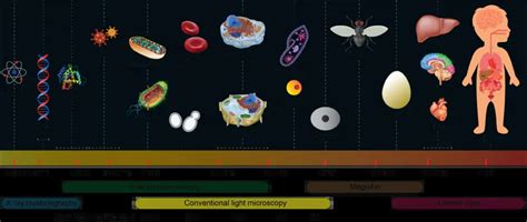 Advanced Microscopy On The Frontier Of Science Rs Science