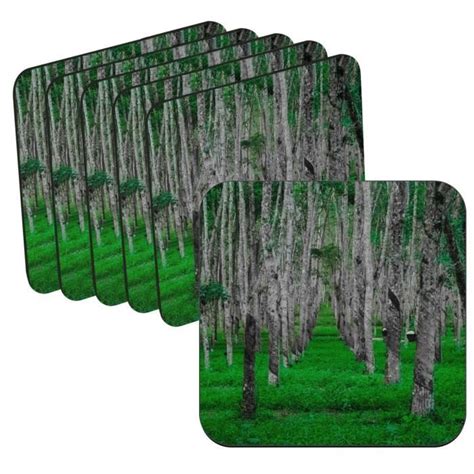 Sous Verre Liège Lot De 6 Foret D Erable Parterre De Fougeres Canada