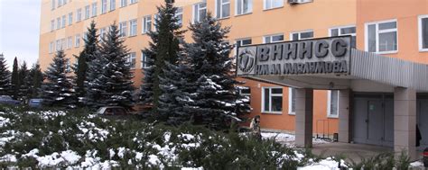 ФГБНУ ВНИИСС им А Л МАЗЛУМОВА Всероссийский научно исследовательский институт сахарной