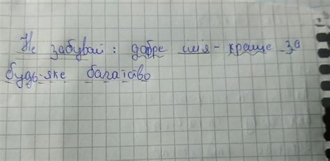 19 Запишіть речення розставте пропущені розділові знаки Підкресліть члени речення надпишіть