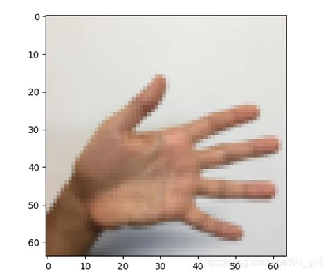 手势数字识别 Csdn博客
