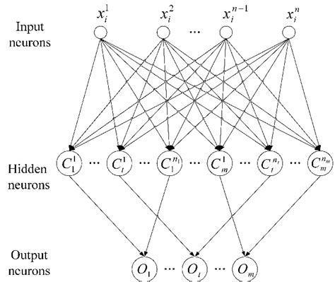 The Structure Of CCA Download Scientific Diagram