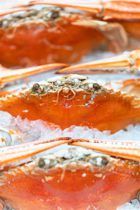 Buy Cooked Blue Swimmer Crab 1kg Bag Online Delivered Sydney