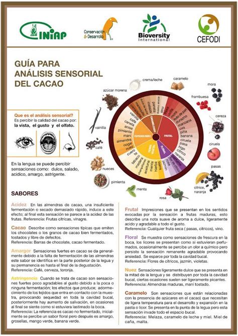 Pin En Cata De Chocolate