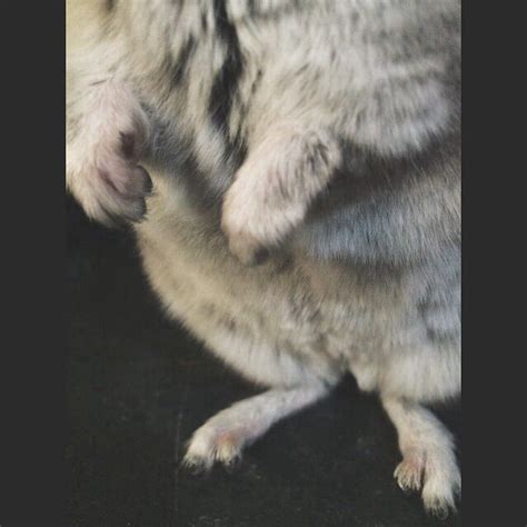 Pin On Texture Bobo Film