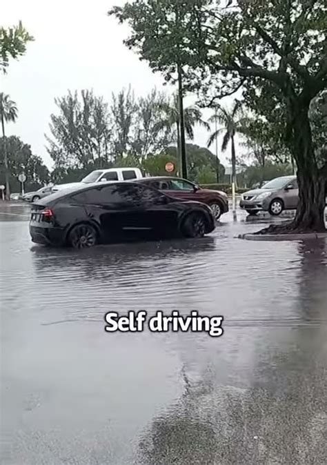 Tesla Drives Itself Youtube