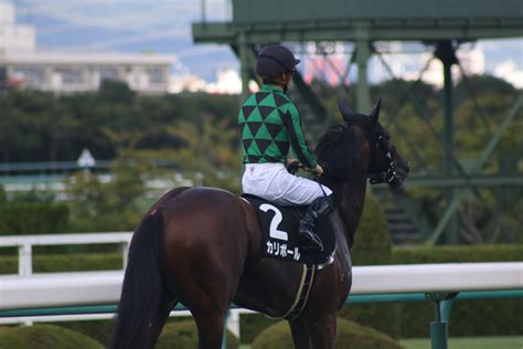 ふわ まさあき On Twitter 2019年9月7日阪神競馬9r野分特別2着カリボールand川田将雅騎手＠返し馬 なんかこの感じ好き