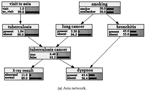 Hybrid Optimization Algorithm For Bayesian Network Structure Learning
