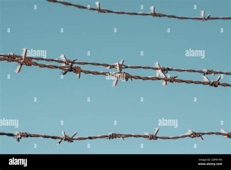 Frosted Barbed Wire With Ice Crystals Stock Photo Alamy