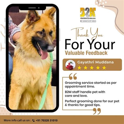 Bow Bow To Meow Meow On Linkedin Contact Feedback Review Reviews