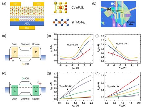 Ferroelectric Reconfigurable Transistor A Schematic Diagram Of The