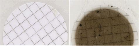 Field Patch Test Kit Crea Fluid Analysis