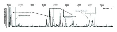 T Rflp Peak Attribution After In Silico Digestion Download Scientific Diagram