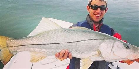 Amazing Miami Inshore Fishing 1 Top Rated In Miami Beach