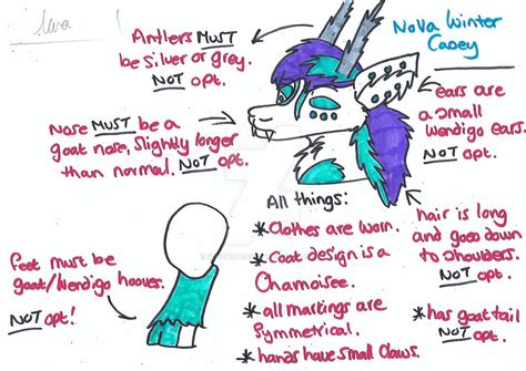 Furryanthro Fursona Nova Winter Caseys Head Ref By Novawinterstar On