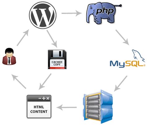 how to speed up your website tips and tricks digital6 technologies