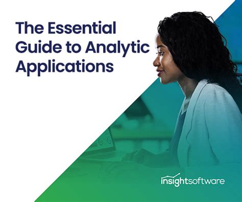 the essential guide to analytic applications project management update
