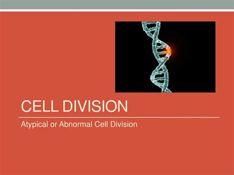Ppt Cell Division Powerpoint Presentation Free Download Id2154852