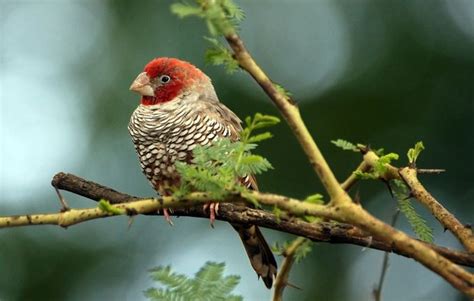 KenRS's Photos - VIEWBUG.com