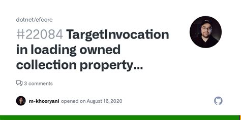 Targetinvocationexception In Loading Owned Collection Property