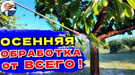 Как ПОДГОТОВИТЬ САД к ЗИМЕ Советы и Хитрости Youtube