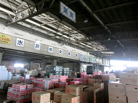 水戸中央青果株式会社 産地だより Jaグループ茨城「amore アモーレ」