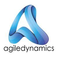 Agile Dynamics Teams The Org