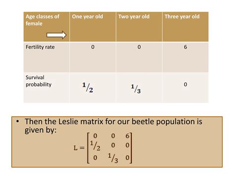 Importance Of Leslie Matrix And Age Distribution Towards Population