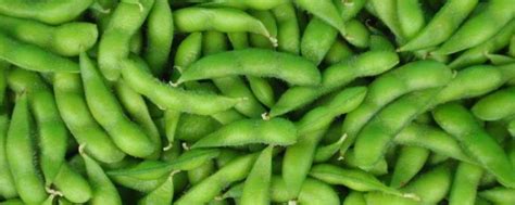 毛豆浆的营养价值毛豆浆应该怎么做 运富春