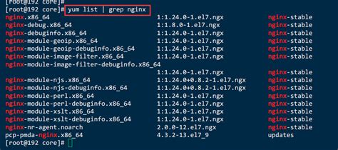【linux And Nginx】linux下安装nginx与版本升级（nginx 1240） 技术分享 云服务器