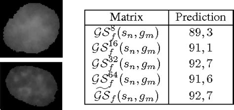 Gray Level Size Zone Matrix Semantic Scholar