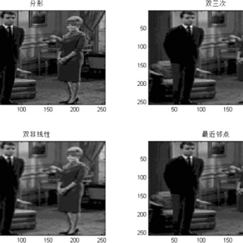 Couple Image Reduced By 4 Times Different Algorithm Interpolation Zoom