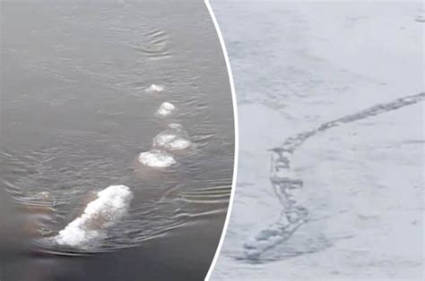 Loch Ness Monsters Cousin Frozen River Monster Has Been Spotted In