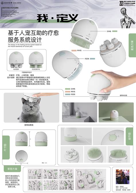 基于人宠互助的疗愈服务系统设计