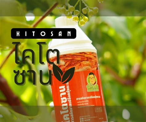 ไคติน ไคโตซาน คืออะไร ไคติน พี่ต้อม เกษตรปลอดสารพิษ