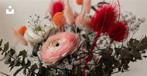 투명 유리 꽃병에 분홍색과 흰색 꽃 사진 Unsplash의 무료 예술 이미지