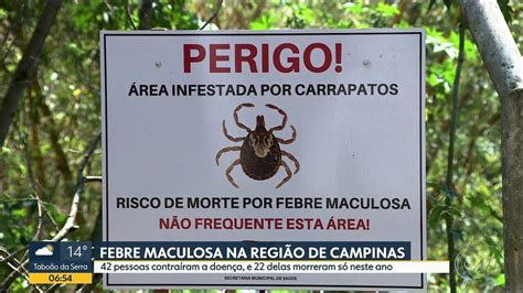 Vídeo Região de Campinas já registrou mortes por febre maculosa em Bom dia SP G