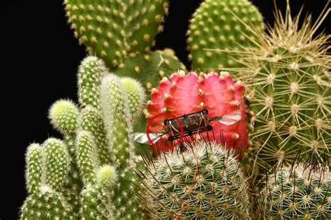 Mit Researchers Develop Bug Sized Robot That Can Still Fly After Being