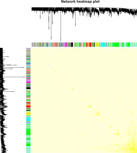 Heatmap Plot Of The Topological Overlap In The Gene Network In The