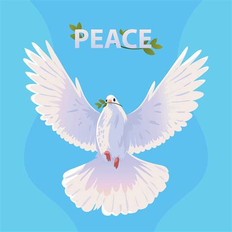 White Dove Peace 11143894 Vector Art At Vecteezy