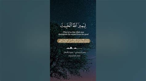 سورة الأنفال 36 37 الشيخ ياسر الدوسري