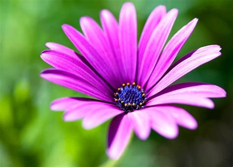 Understanding Iso Settings In Photography