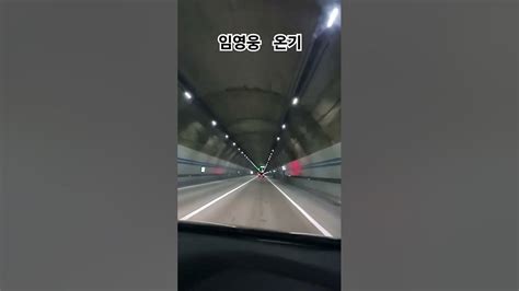 시나브로 육이랑냥이랑 이또한지나가리라 임영웅 온기 Youtube