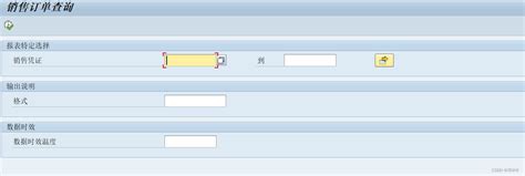 Sap Sqvi快速报表的使用 Csdn博客