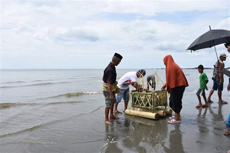 Mengenal Suku Mandar Asal Usul Budaya Dan Gaya Hidupn Vrogue Co